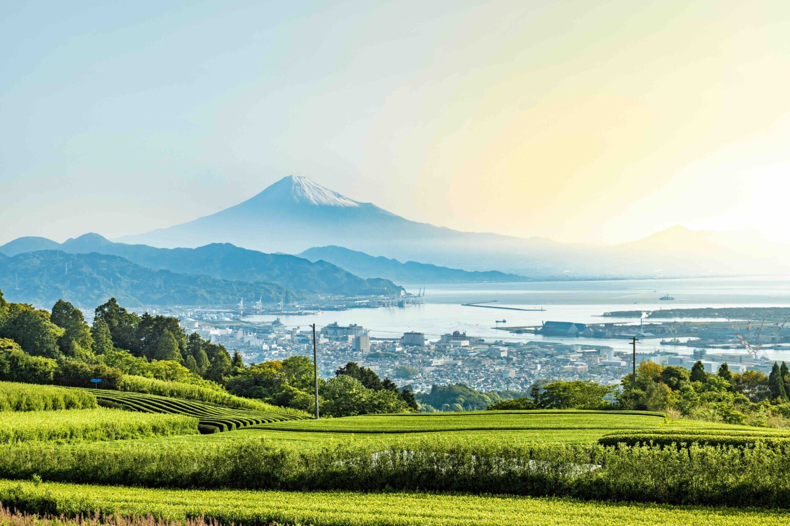 The Shogun Trail: Kyoto to Tokyo Cycling Highlights (7 Days, 300 km ...